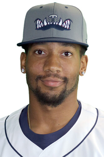 Brewer bids MV a fond farewell | News, Sports, Jobs - Tribune Chronicle